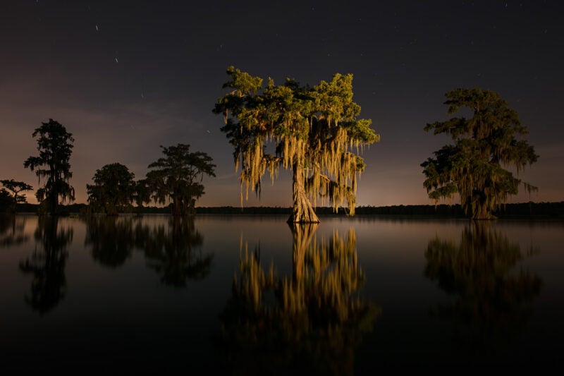 Shoot and share: It’s a bit of a basketball story for photographer ...